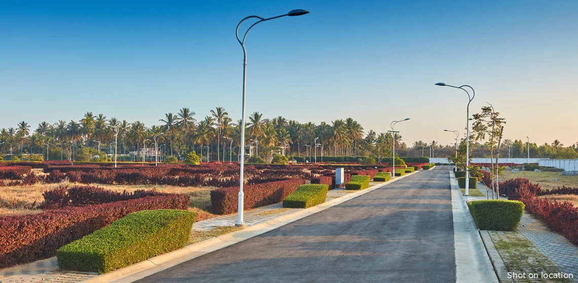 Campan Valley - NZD Studio