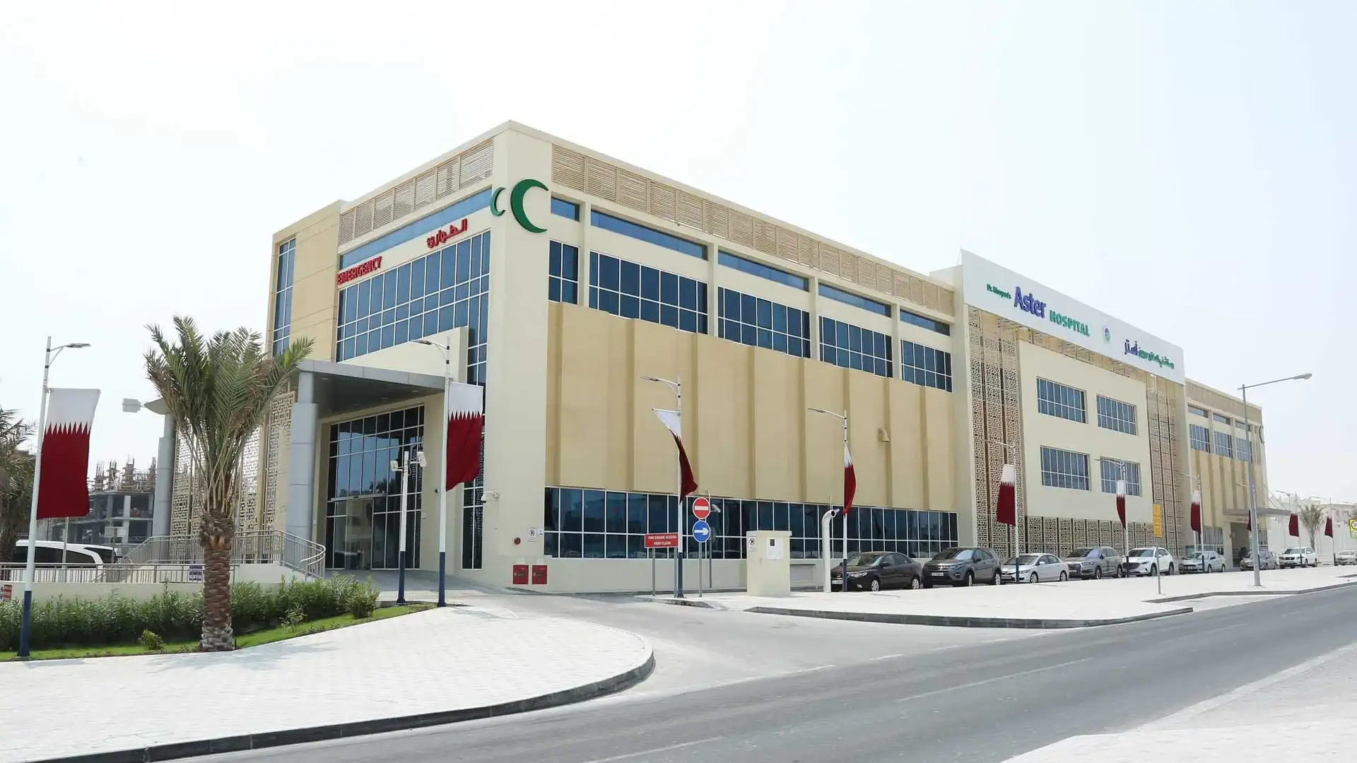 DM Aster Doha - NZD Studio