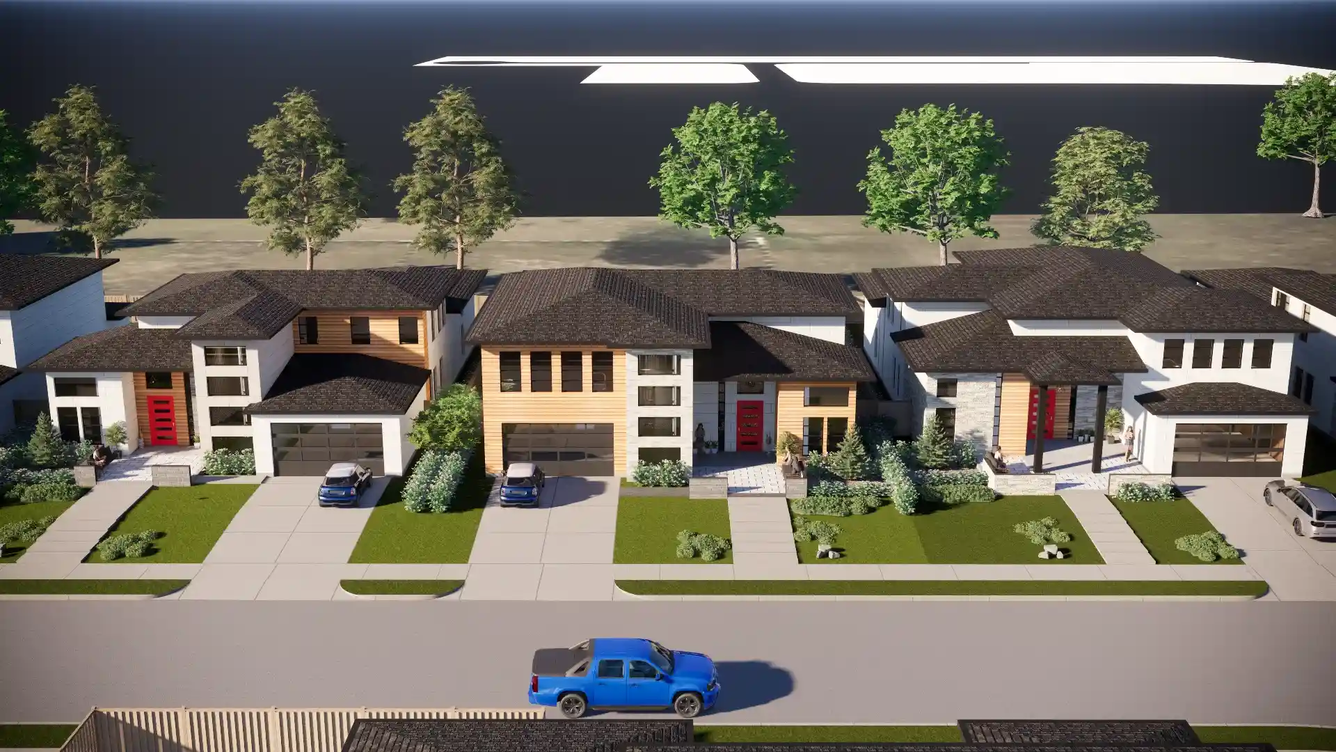 THE DAWN - NZD Studio